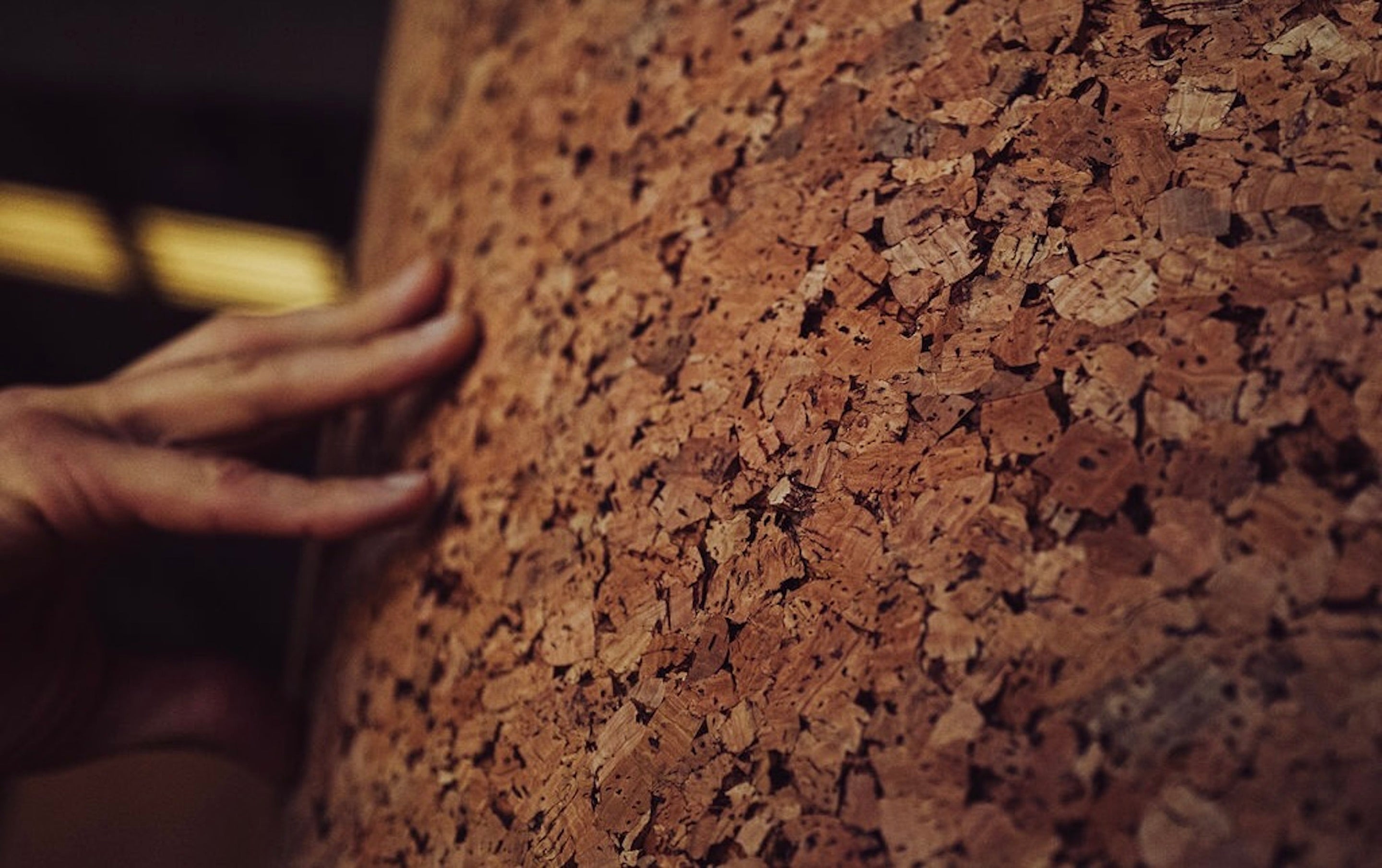 Why We Love Cork – Rituil